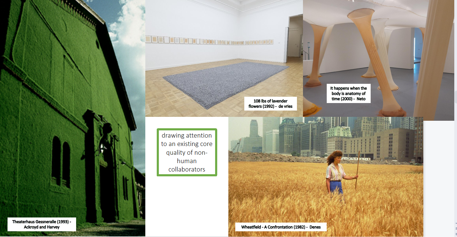 Ethical Art Making – Human:Non-Human Creative Collaborations – Lauren ...